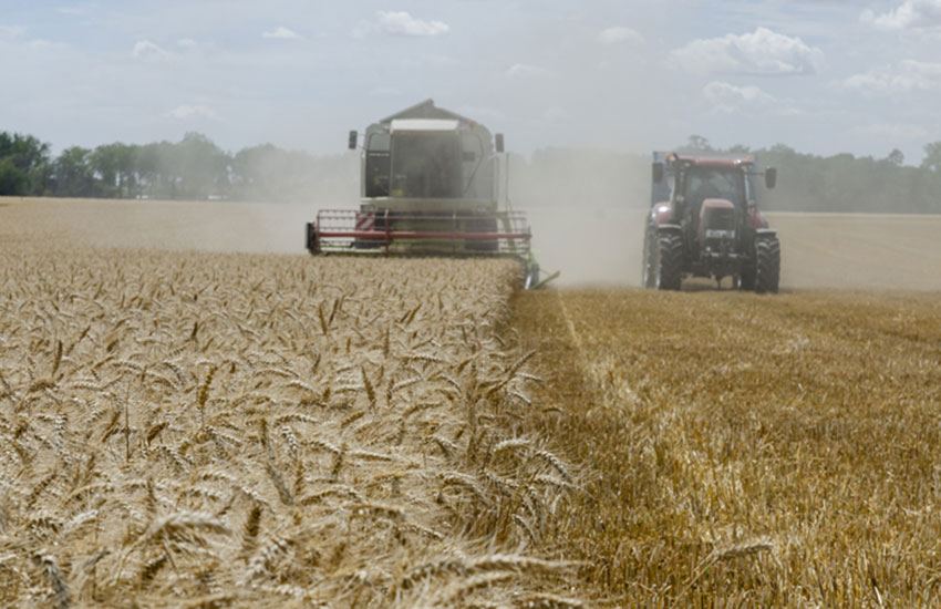 Moisson 2020 : de la qualité en céréales mais rendements variables | ARVALIS