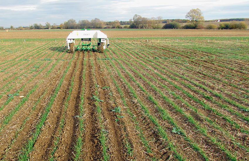 Unilis Agtech : Joint-venture entre Unigrains et Arvalis | ARVALIS