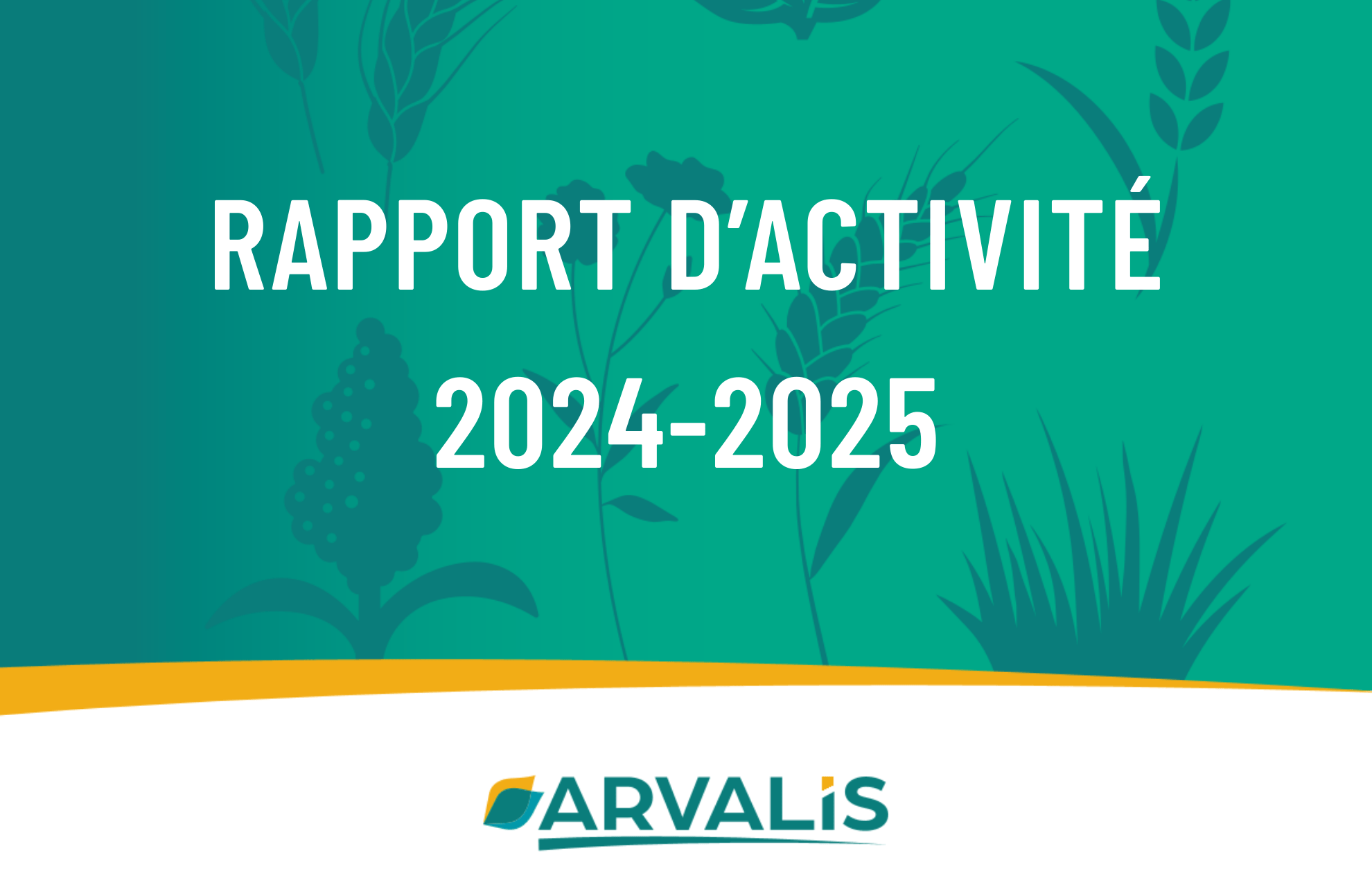 Rapport d’activité 2024-2025 | ARVALIS
