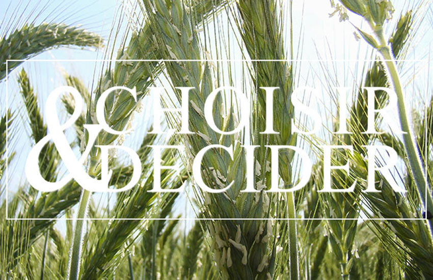 Conduite de triticale en Centre/Ile-de-France/Limousin/Auvergne | ARVALIS