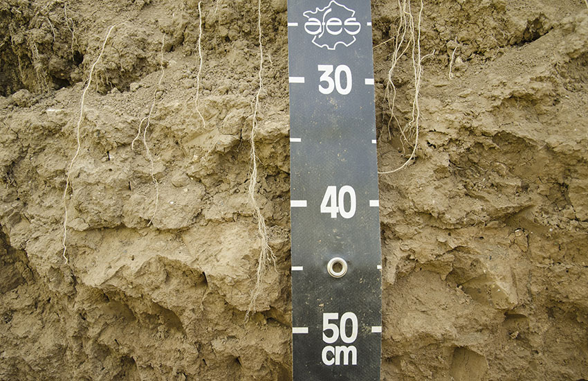 Appréhender le cycle de l’azote pour améliorer la fertilité des sols ...