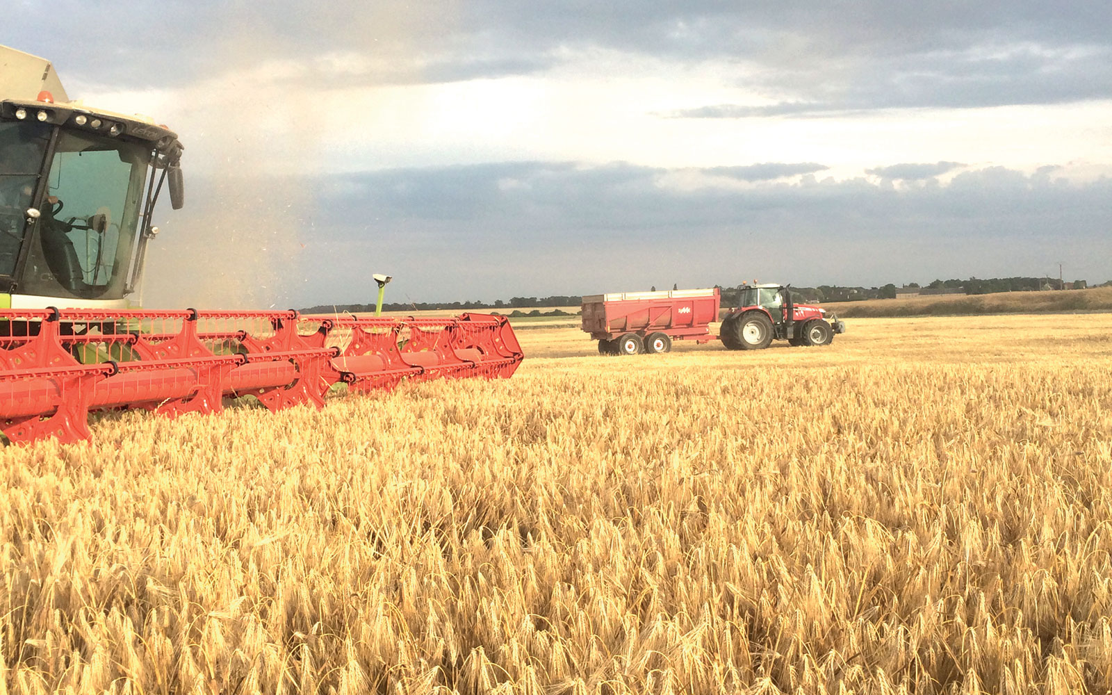 Rétrospective de la campagne orges d’hiver 2024/2025 en Bretagne | ARVALIS