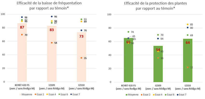 Protection du maïs : les traitements de semences corvifuges à l'essai ...