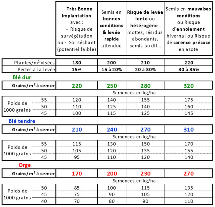 Méditerranée : densités de semis du blé kg/ha en 2023 | ARVALIS