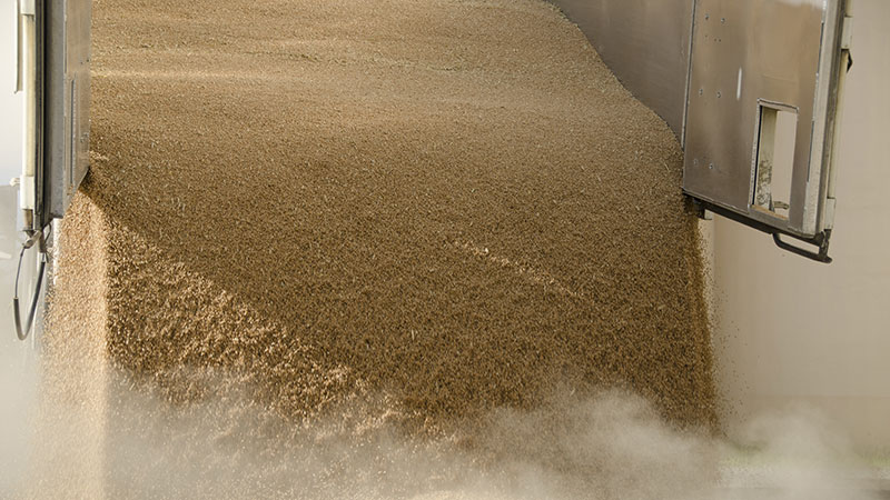 Poids spécifique : tout savoir sur ce critère technologique | ARVALIS