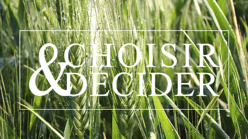 Blé dur : résultats d’essais d’ARVALIS et préconisations | ARVALIS