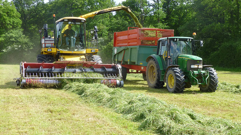 Comment conduire son chantier d’ensilage d’herbe ? | ARVALIS