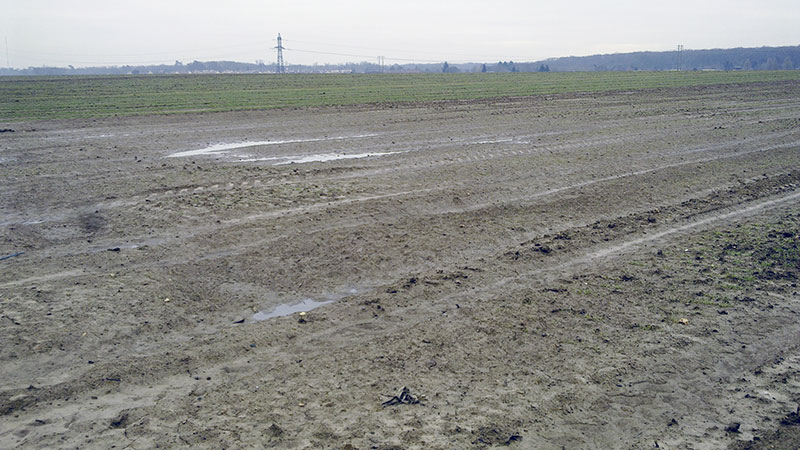Reprise des sols : que faut-il faire en conditions humides ? | ARVALIS