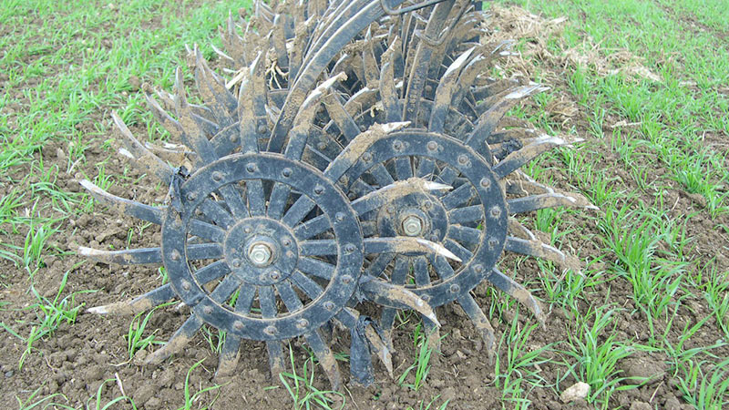Désherbage mécanique : privilégier la houe rotative en sols battants ...