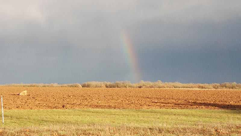 Ventilation des céréales par temps humide : mode d'emploi | ARVALIS