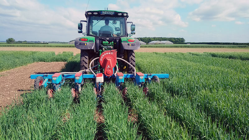 Relay-cropping épisode 2 : le semis de la culture d’été | ARVALIS