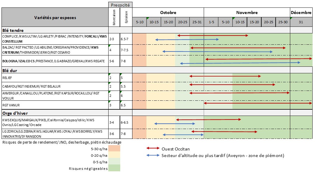 Réussir les semis d’automne 2024 de céréales dans Ouest Occitanie | ARVALIS