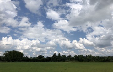 Florence BINET | ARVALIS