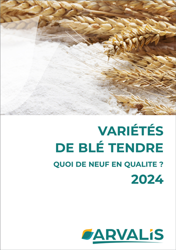 Lin fibre : Guide de culture 2025 | ARVALIS