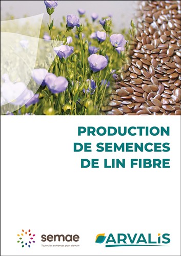 Production de semences lin fibre | ARVALIS