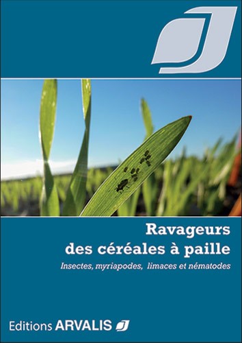 Ravageurs des céréales à paille | ARVALIS