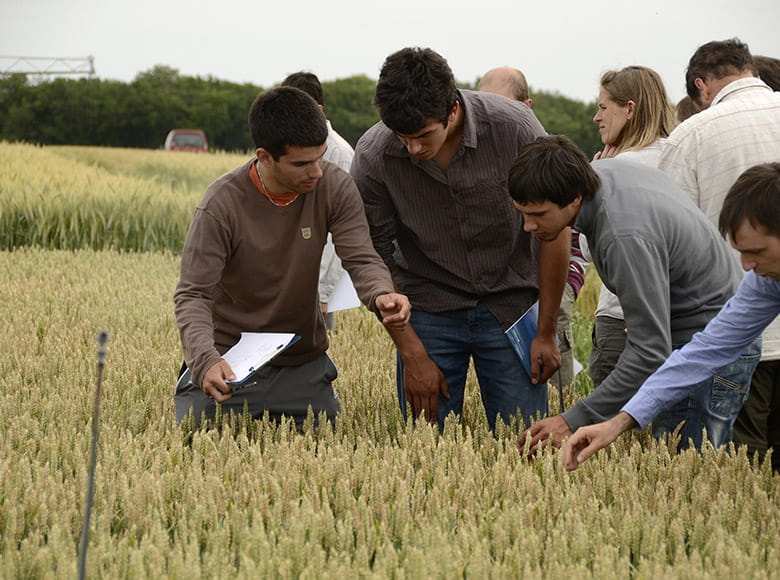 ARVALIS, institut technique agricole grandes cultures et fourrages